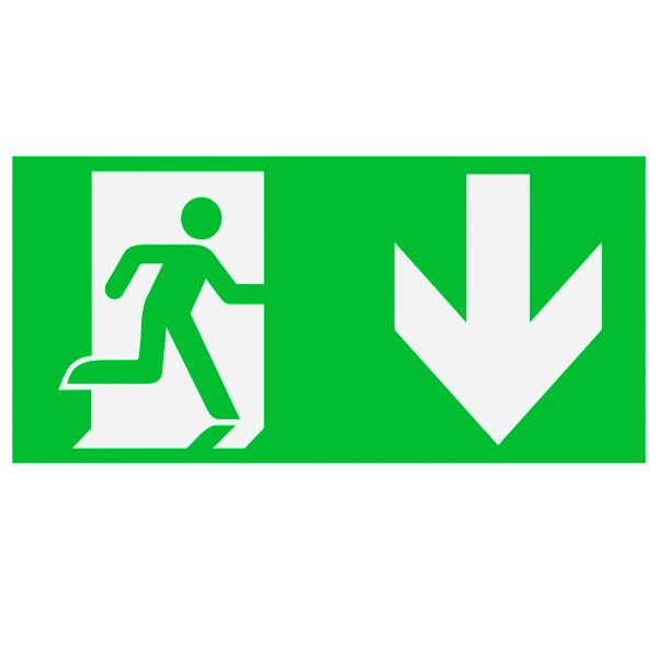 BELL Lighting 09022 Spectrum New Style Down Legend for Slim Exit Sign