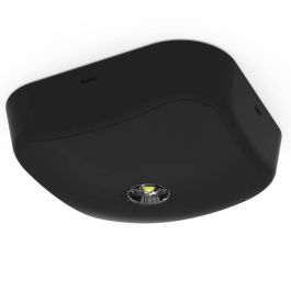 Ansell IP65 Falcon LED Surface Emergency Downlight 3W Non-Maintained Black