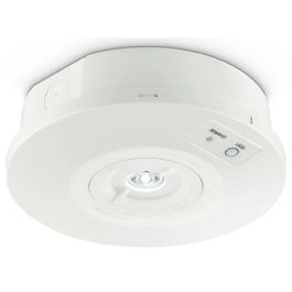 Signify Ecolink 2W Emergency LED Surface Spot 3HR 6500K | Lightsave